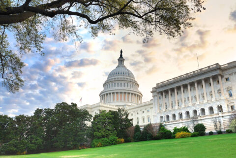 Home - Green and Gold Congressional Aide Program